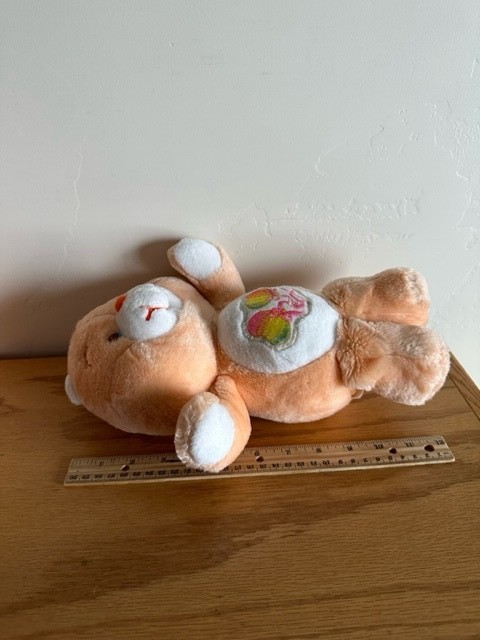 Care Bear Vintage 1980's Surprise, Sea Friend, Forest Friend, Harmony ...