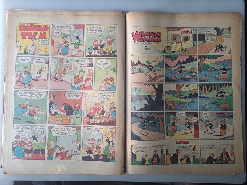 New York Sunday News Sunday COMICS Section 16 Pages Complete August 20 ...