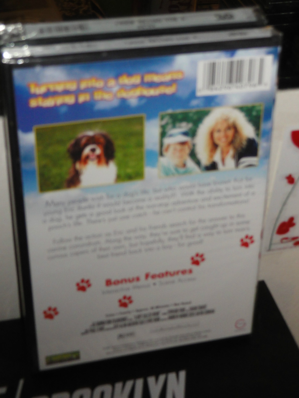 A Boy Called Woof (DVD) David Cobham, Edward Fidoe, Sarah Smart, BRAND ...