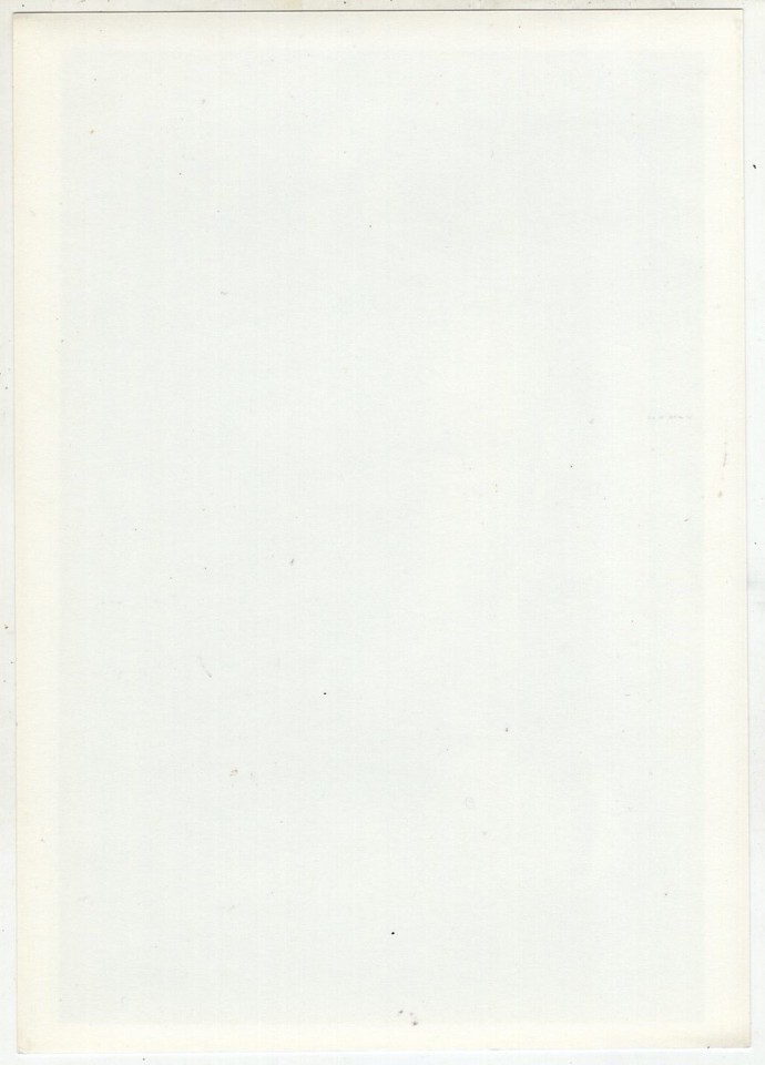 GAY:Vtg 1980s Sexy Male Original 5x7 Photo COLT OF THE WEEK I: CUTE ...