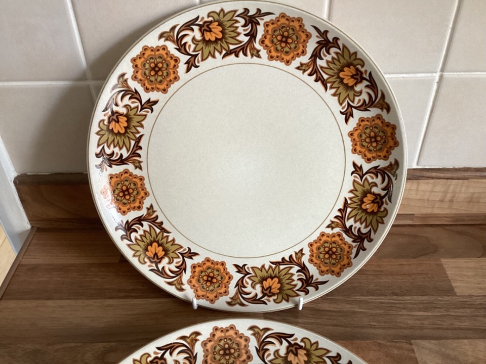 2 x Vintage Midwinter Woodland Dinner Plates 10.5” Brown Pattern | eBay