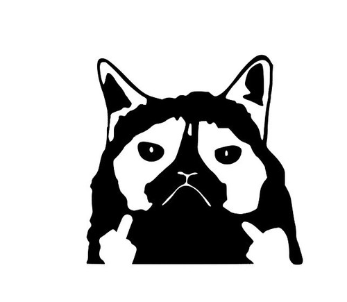 Grumpy Cat Angry Flippin' Off Funny Car Window Vinyl Decal Sticker Fuck-IT off u | eBay
