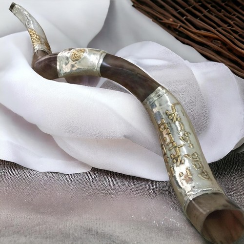 SALE Shofar Shema Israel Silver Plated Kudu Horn 40" Shma Yisrael ...