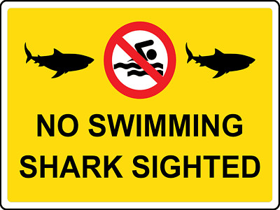 No Swimming: Shark Sighted Warning 9"x12" Aluminum Sign | eBay