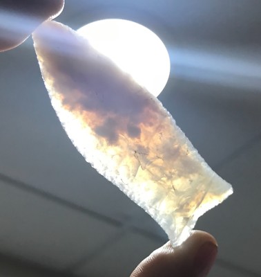 Fine Simpson coral Indian artifacts Florida translucent killer | eBay