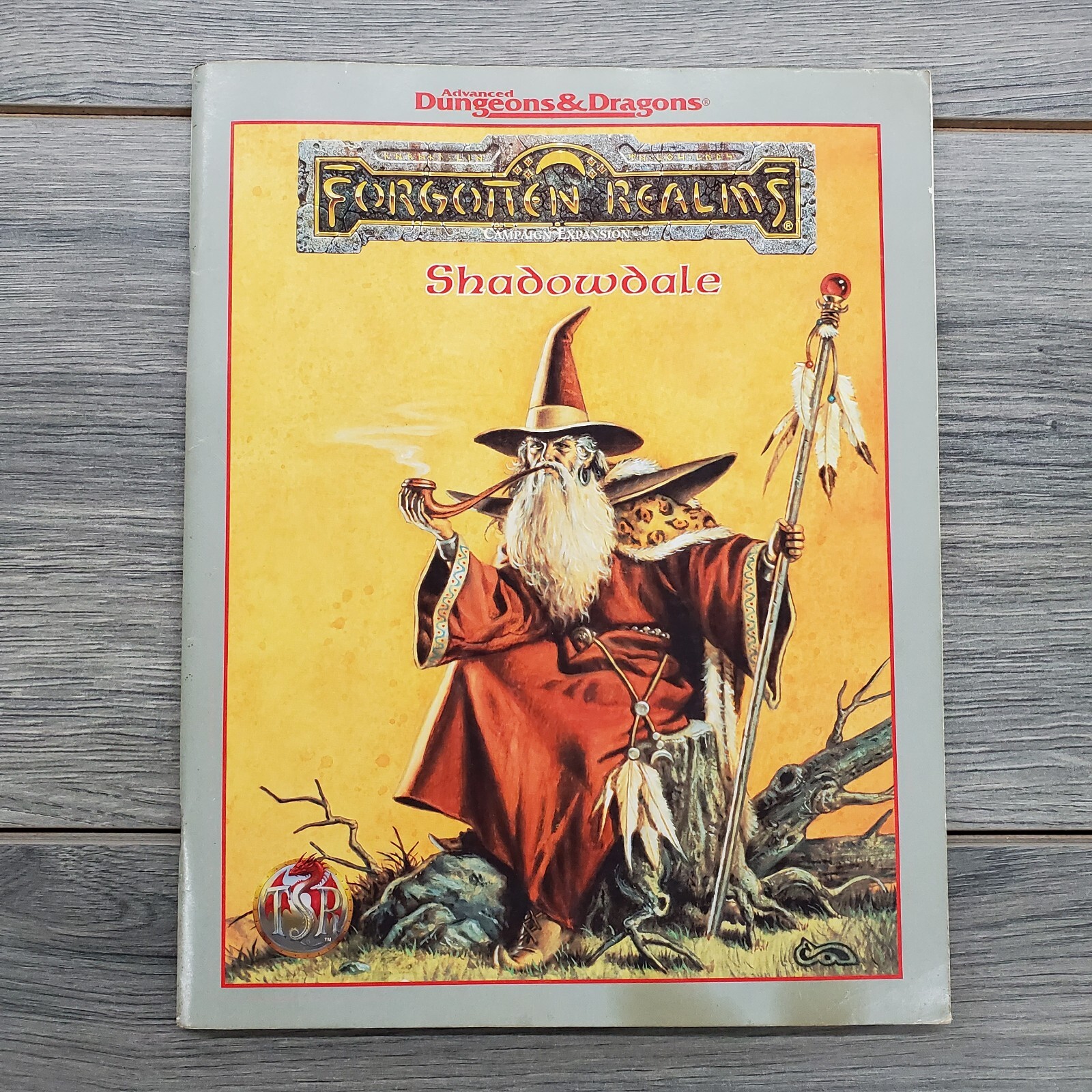 ADVANCED DUNGEONS & DRAGONS: FORGOTTEN REALMS SHADOWDALE - CAMPAIGN ...