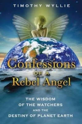 Timothy Wyllie Confessions of a Rebel Angel (Paperback) 9781591431473 ...