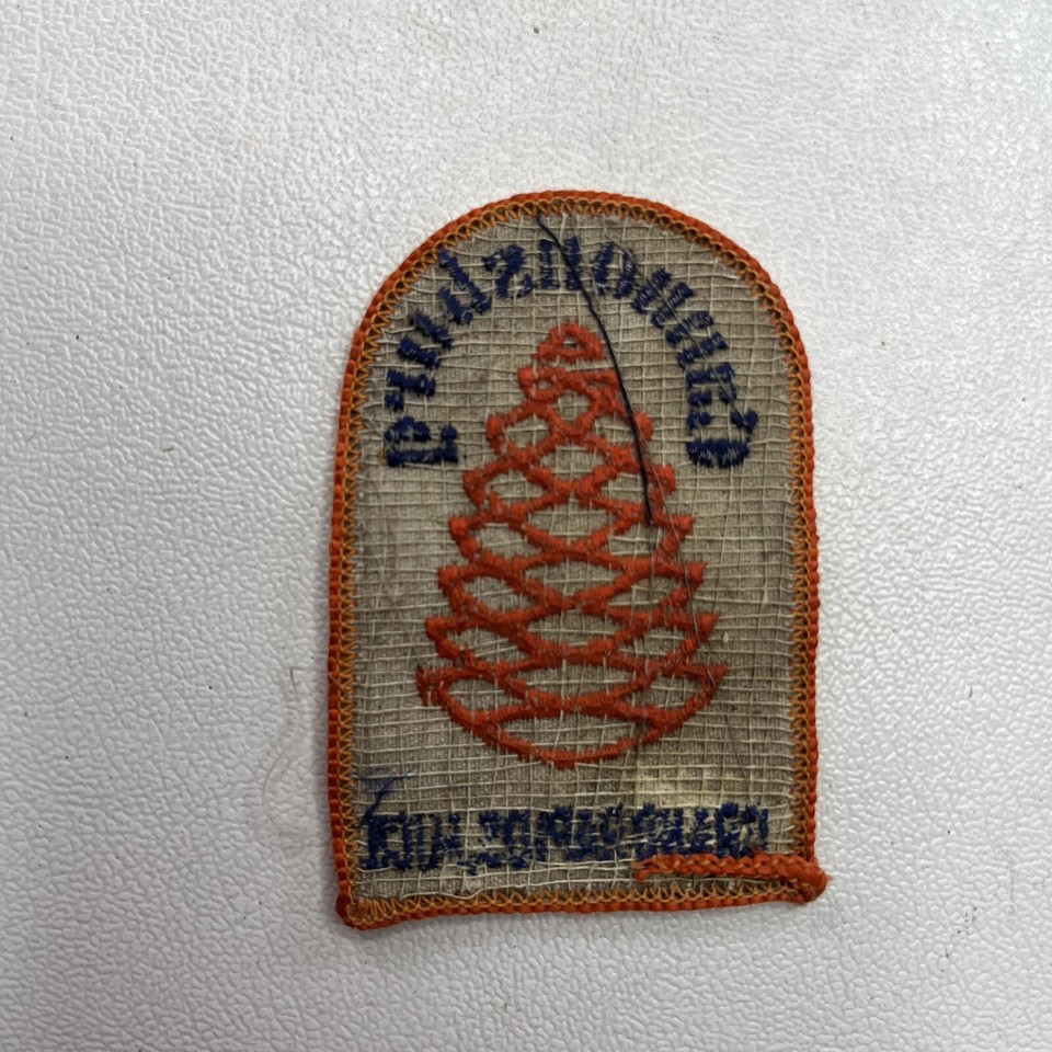 Vintage Rough Condition! GRAND RAPIDS CANNONSBURG SNOW SKI Michigan ...