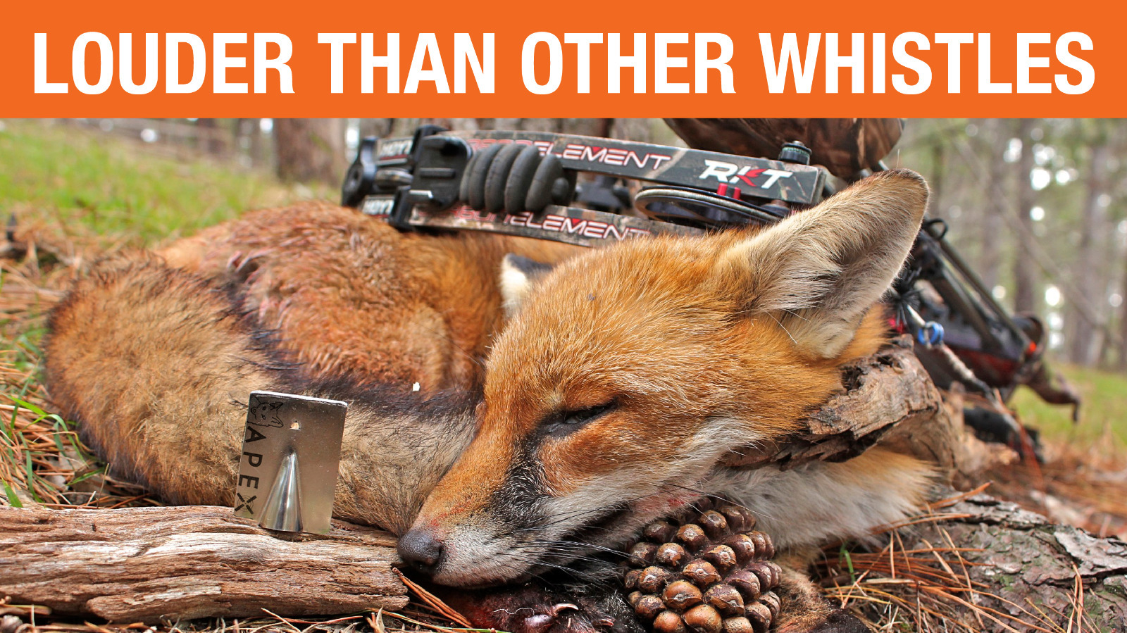 Apex Fox Whistle - Australia's Best Fox Whistle - Check photos in ...