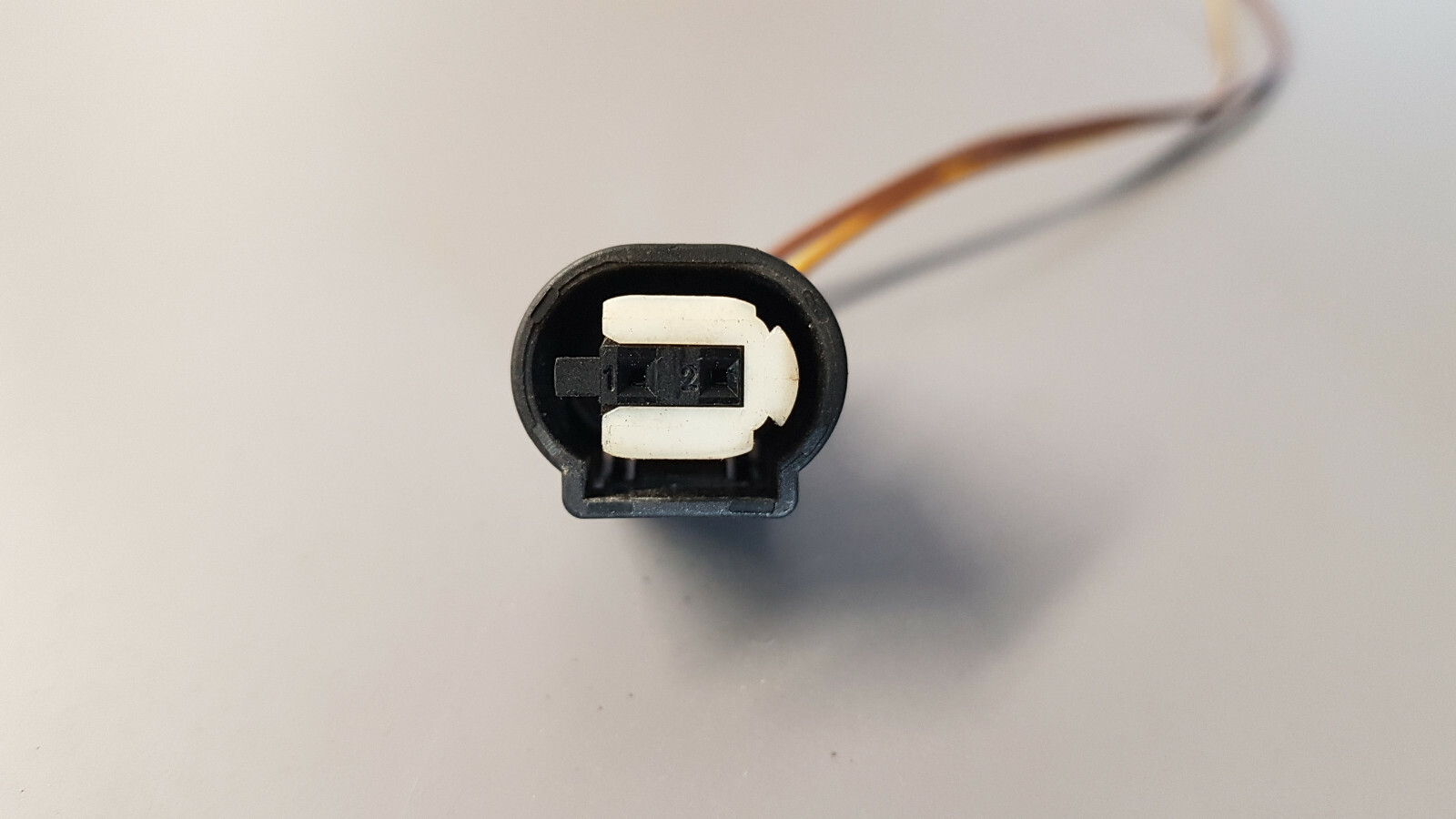 USED GENUINE BMW 2 POL SOCKET WITH 2 PINS, BLACK INSIDE / FAST DISPATCH ...