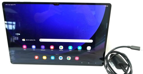 Samsung Galaxy Tab S9 Ultra SM-X910 256GB 12GB Wi-Fi 14.6" - Tablet | eBay