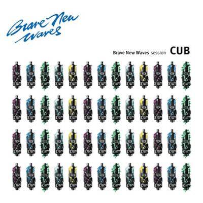 Cub - Brave New Waves Session (Coloured Vinyl) [VINYL] 628070631315 ...