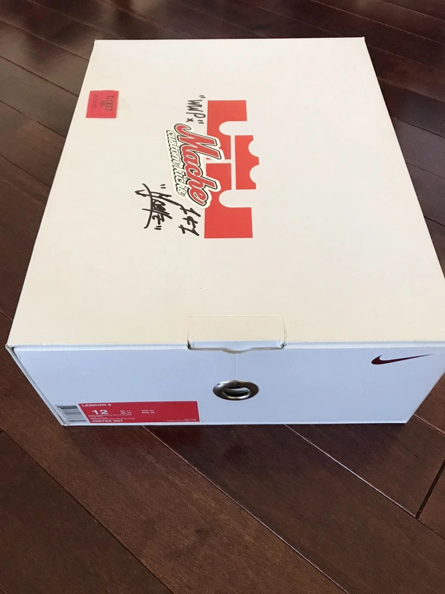 Lebron X Custom Mache