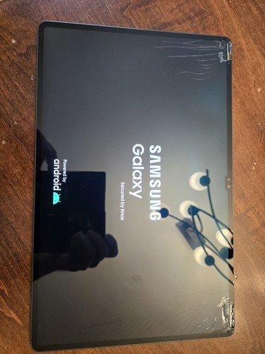 Samsung Galaxy Tab S8 Ultra SM-X900 256GB, Wi-Fi, 14.6 in - Cracked ...