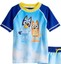 NWT Disney BLUEY Swim Trunks Rash Guard Set Swimsuit Shorts Toddler 2T ...