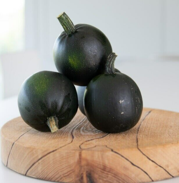 10 Little Gem Squash Trailing Seeds - Heirloom | eBay UK