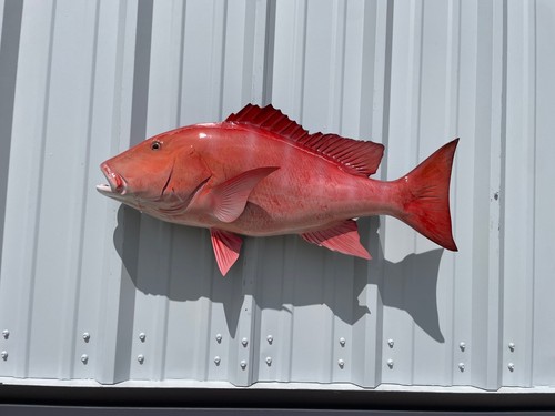 32" Red Snapper Two Sided Fish Mount Replica - Quick Production | eBay