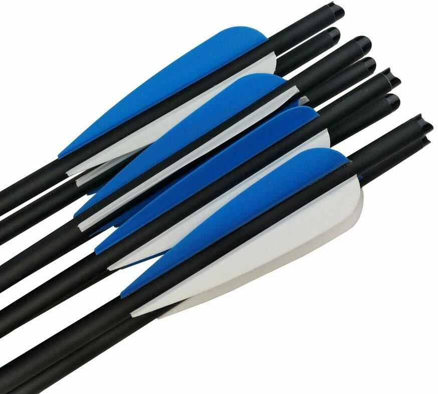Archery 20" Carbon Crossbow Bolts +/or Quiver Arrows 4" Vanes Hunting ...
