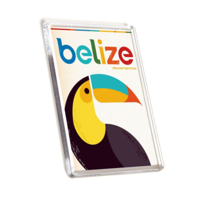 JUMBO MAGNET - Vintage Travel - Belize, Toucan | eBay UK