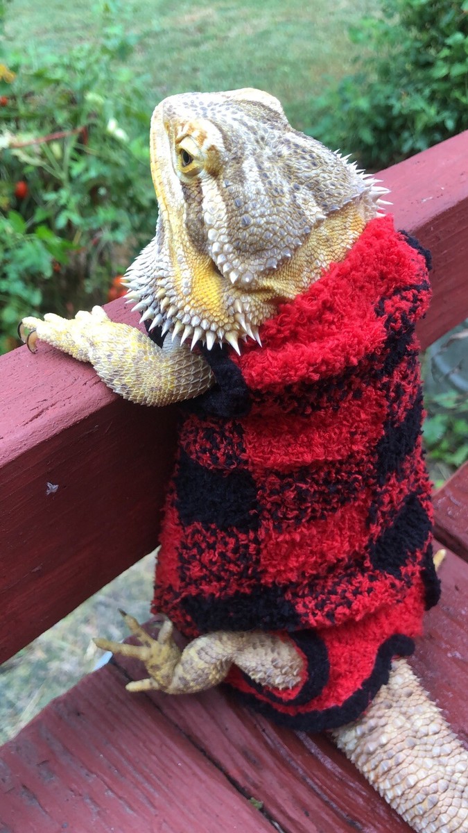 Welsh Dragon Knitting Pattern Natural Coloured Wool Welsh Dragon