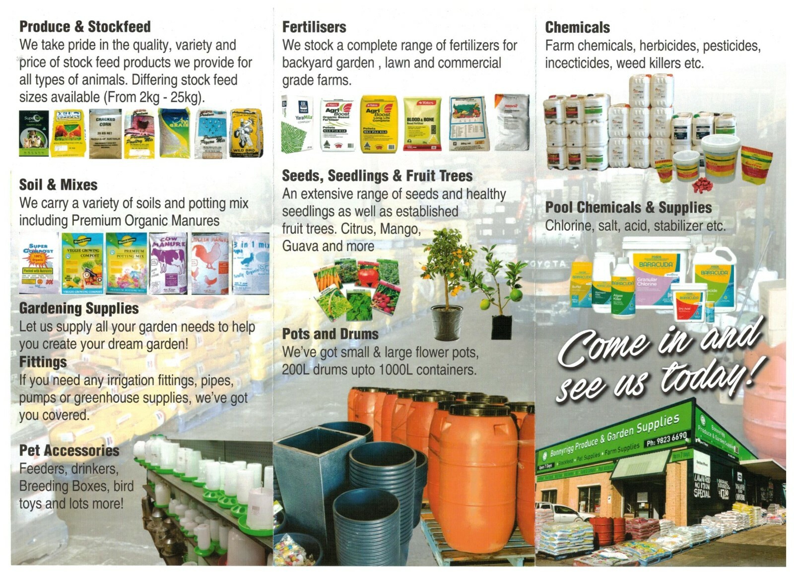 Fortune 500 1lt. Insec ticide & Termiticide. Chlorpyrifos 500g/l ...