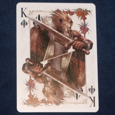 CAPCOM Fighting Legends Playing Cards Leo Warzard Red Earth TCG ...