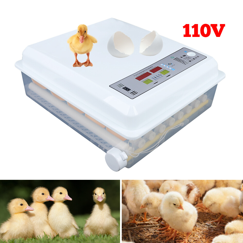 64 Eggs Incubator Automatic Turner Chicken Hatcher Incubators for ...