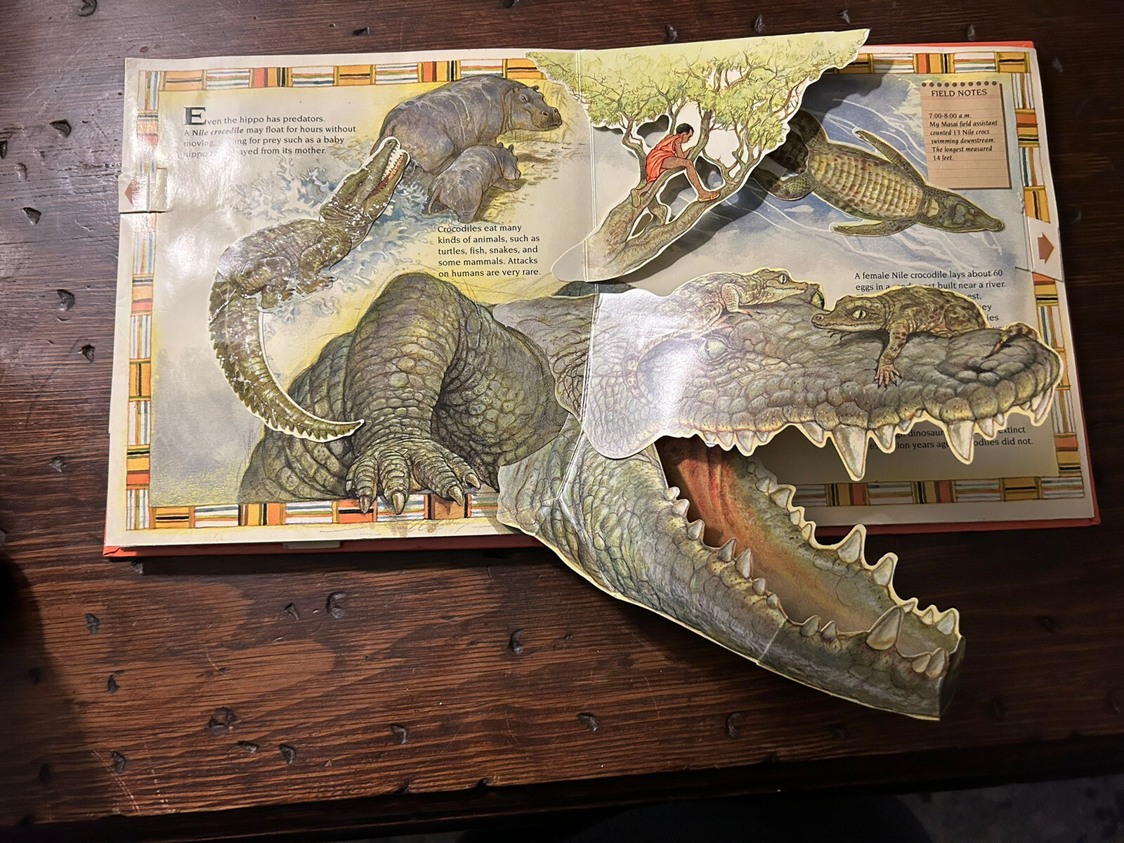 Pop-Up: African Animal Giants by James Dietz (1997, Hardcover) Nat'l ...