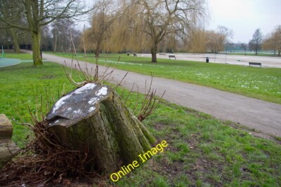 Photo 12x8 The Stump, Broomfield Park, London N13 Friern Barnet Remains ...