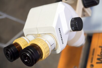 Scienscope SSZ Stereo Zoom Binocular Microscope **NICE | eBay