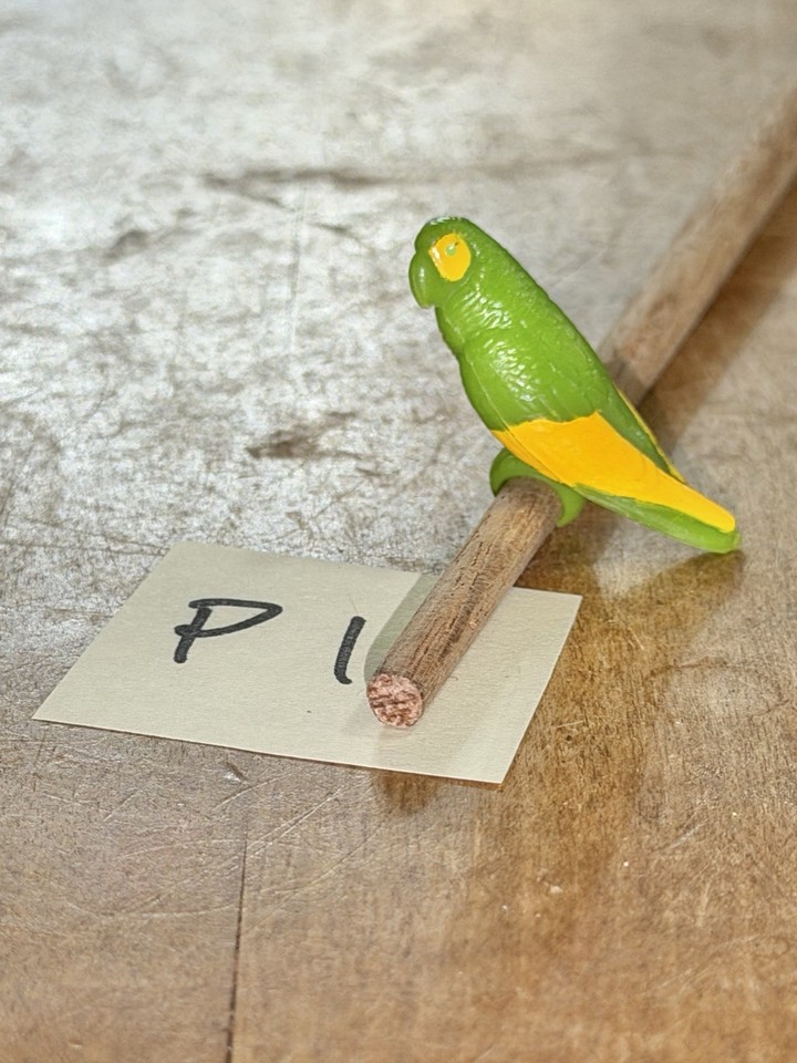 1985 Shipwreck Polly/Parrot/Bird Great Shape Vintage Weapon/Acc GI Joe ...