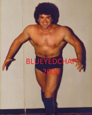 BARRY HOROWITZ WRESTLER 8 X 10 WRESTLING PHOTO WCW WWF | eBay