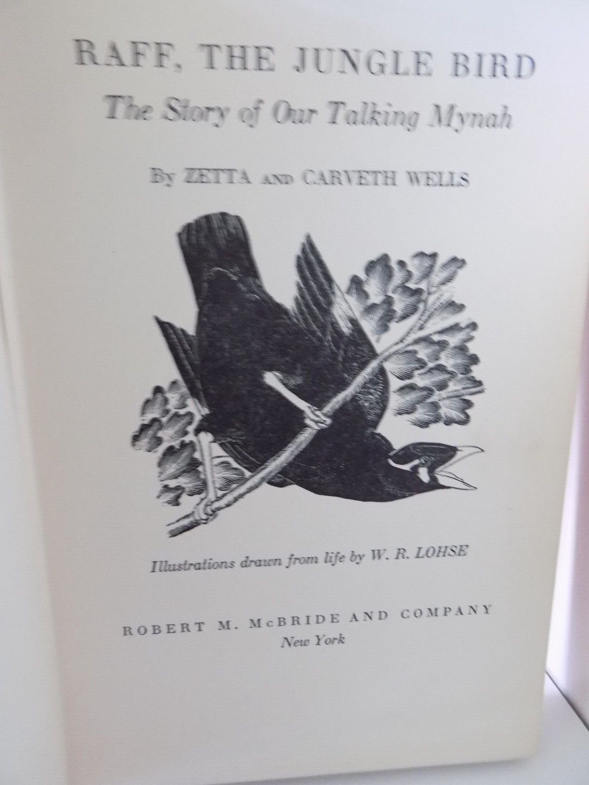 Vintage Raff the Jungle Bird Book 1941 First Edition Signed by Authors ...