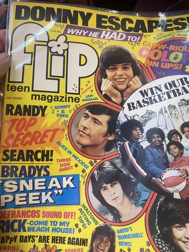 Vintage Flip Teen Magazine - June 1974 Issue—bagged | eBay
