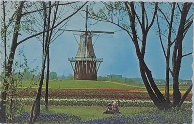 Postcard MI Holland De Zwaan The Swan Authentic Dutch Windmill Island ...
