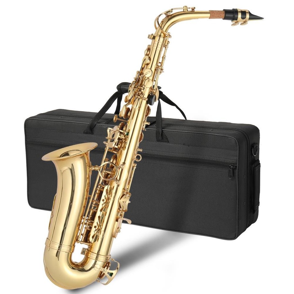 Glarry Beginner Practice Alto Eb Saxophone Sax with Case Mouthpiece ...