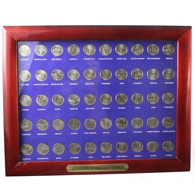 Wood Grain 50 State Quarter Collectors Showcase Coin Display Frame with ...