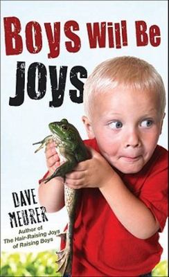 Boys Will Be Joys by Meurer, Dave 9780800788001| eBay