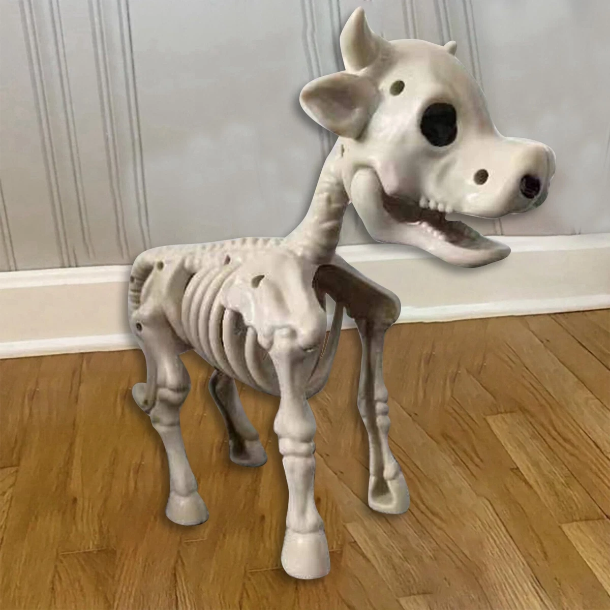 Cow Skeleton