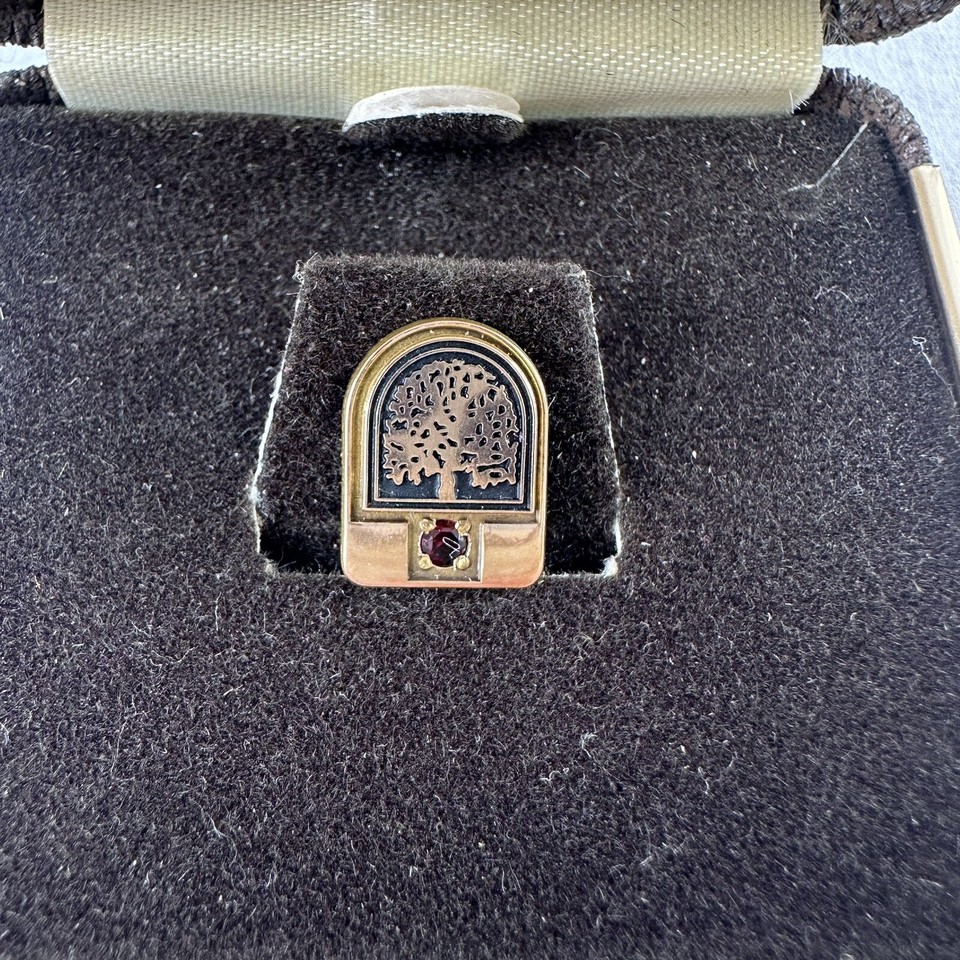10k Yellow Gold Ruby CTO Pin Tree 10 Years Of Service In Box | eBay