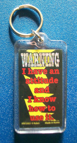Plastic Key Chain Ring "Warning I Have An Attitude and I Know How To ...
