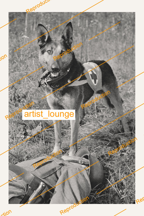 Copy of WW2 German WEHRMACHT photo Soldier German Shephard Ambulance ...