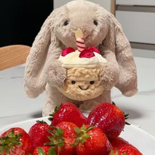 Bashful Beige Birthday Bunny : Bashful Bunnies : Jelly Collector