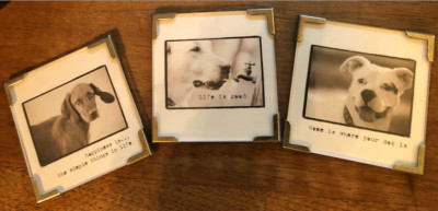 3 Natural Life Dog Magnets Life is Good, Home is Where Your dog Is ...