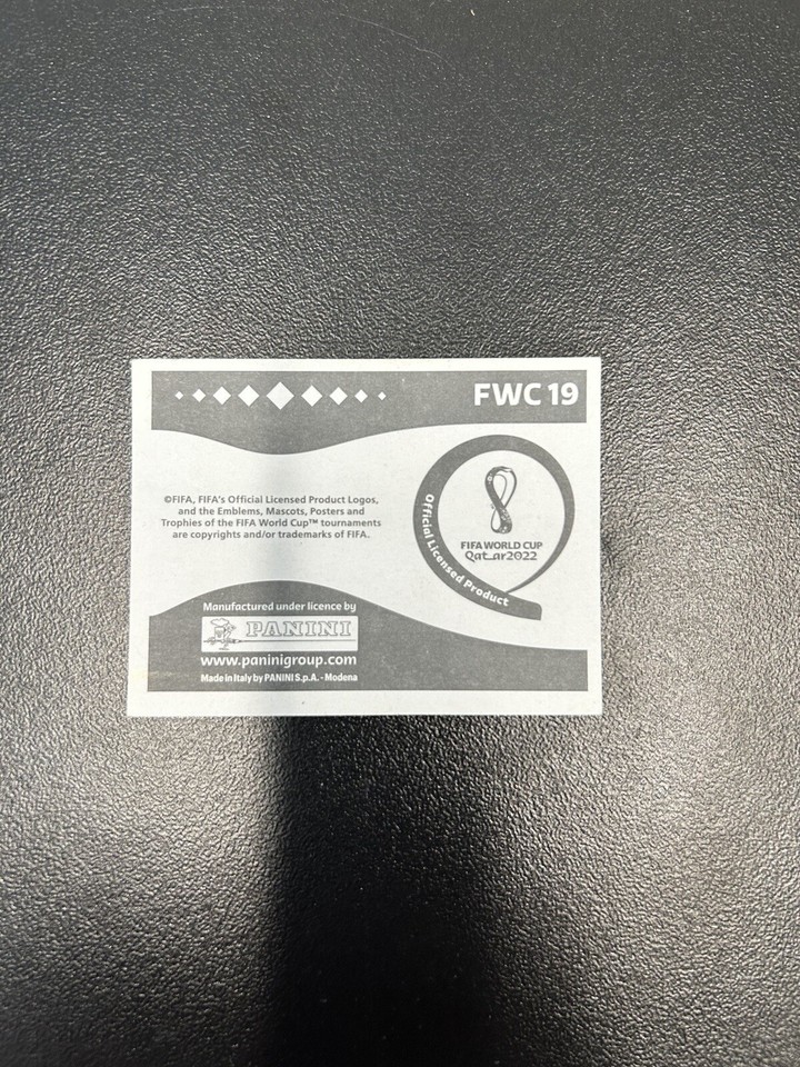 2022 Panini Fifa World Cup sticker FWC-19 | eBay