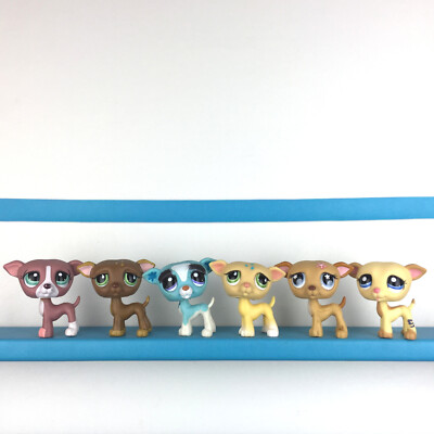 Lot 6 Littlest Pet Shop Greyhound 1585 507 2526 875 498 2041 Dog LPS ...