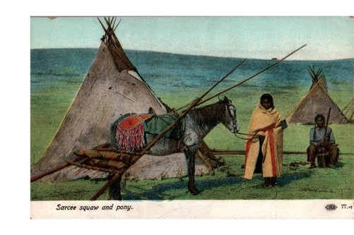 Postcard Native American Sarcee Squaw and Pony c1907-1915 | eBay