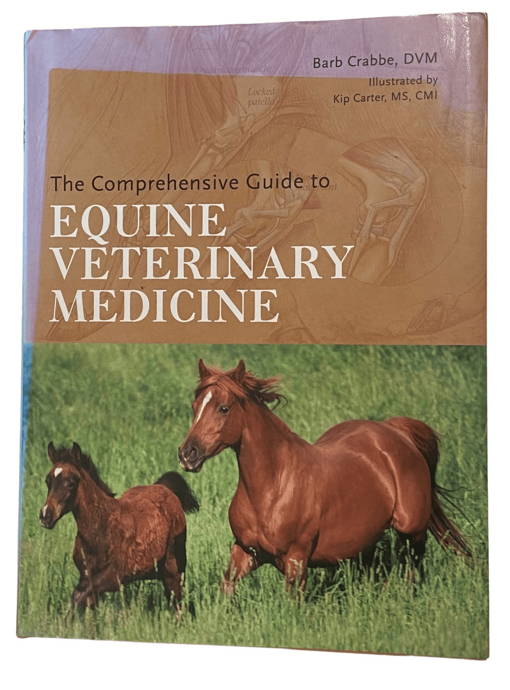 Comprehensive Guide to Equine Veterinary Medicine by Barb Crabbe (2007 ...