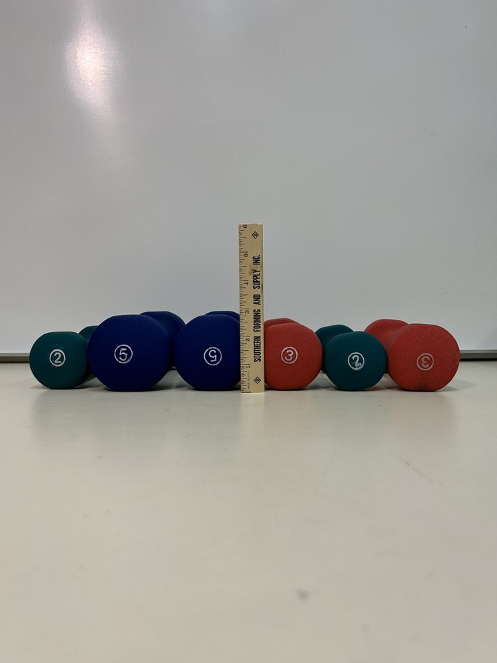 Dumbbell Set 20 Pounds Total Weight Used Pairs Of 2, 3, And 5 Pounds ...