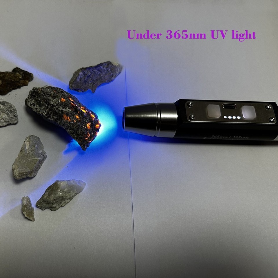 Shortwave UV 254nm Longwave 365nm 395nm Torch UVA UVC Blacklight LED ...